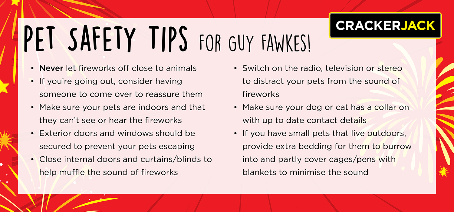 Where to Buy Fireworks in NZ | Fireworks for Sale | Crackerjack