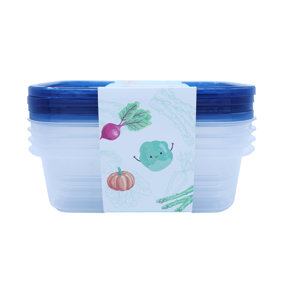 Crisper Refrigerator Storage Box 21x16x6.5cm Assorted | Home