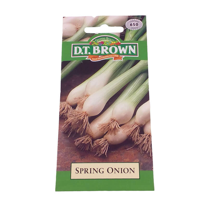 DT Brown Spring Onion Seeds Packet | Gardening | Crackerjack