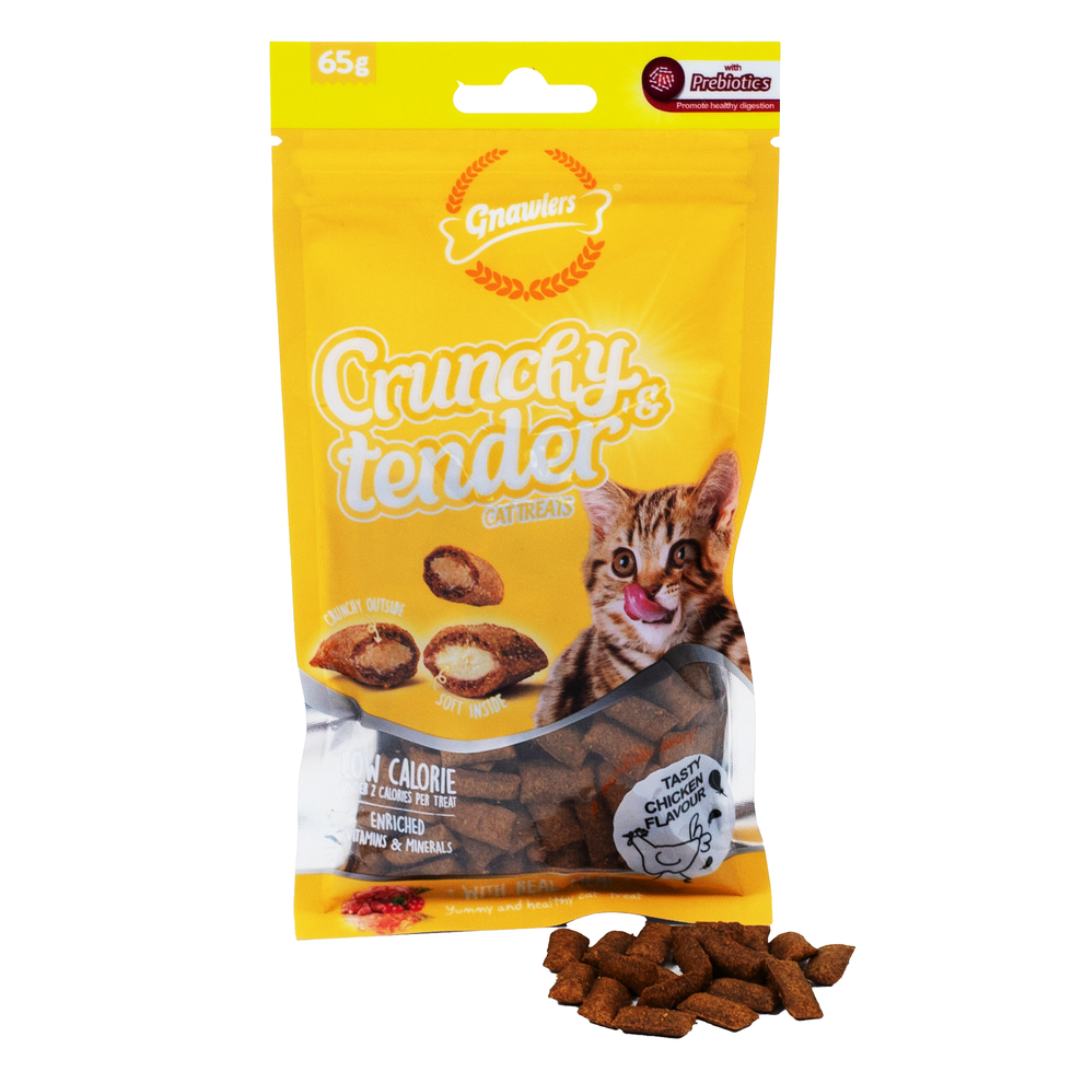 Gnawlers Crunchy & Tender Tasty Chicken Flavour 65g | Pet