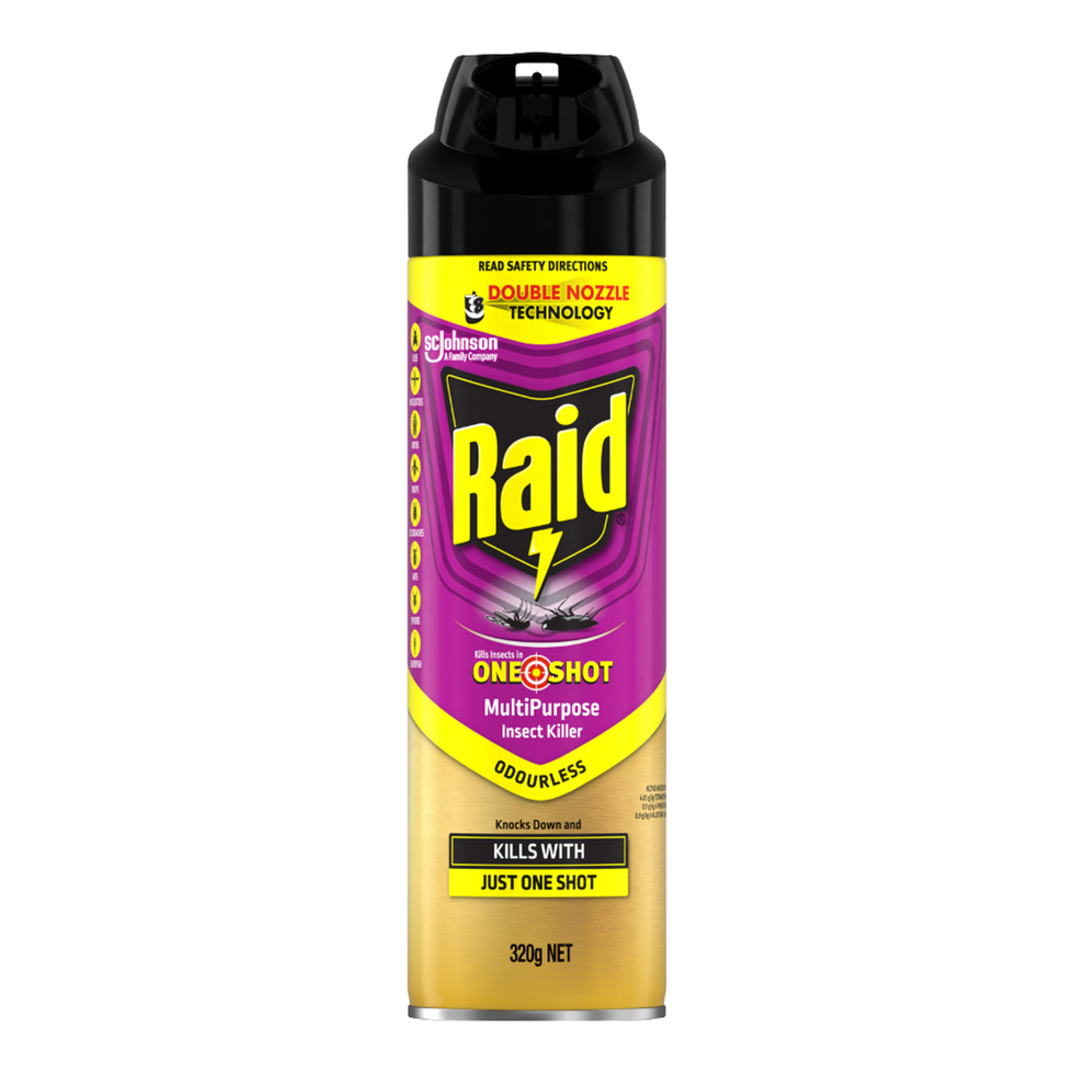 Raid Double Nozzle Multipurpose Fly Spray 320g | Household