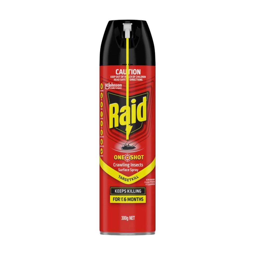 Raid One Shot Target Kill Spray 300g | Household | Crackerjack
