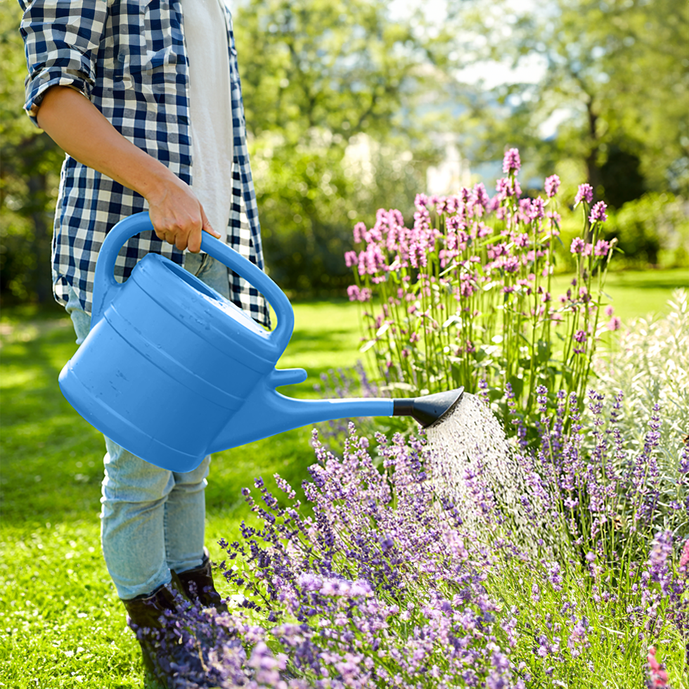 Tussock Blue Watering Can 5L | Gardening | Crackerjack